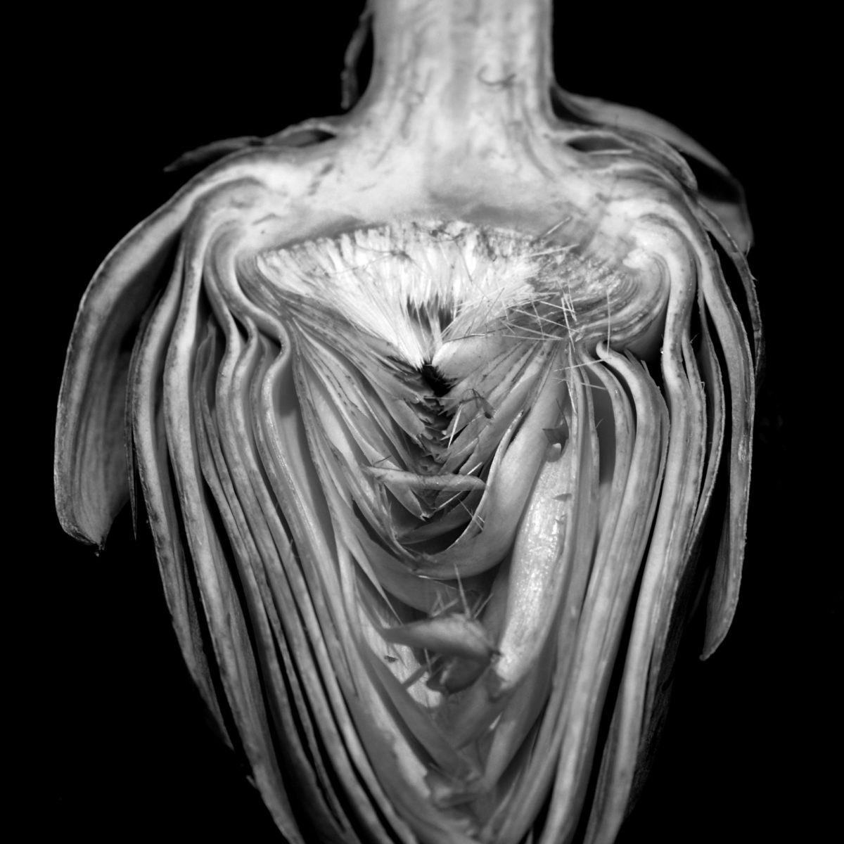 Home - Alchemy Photography